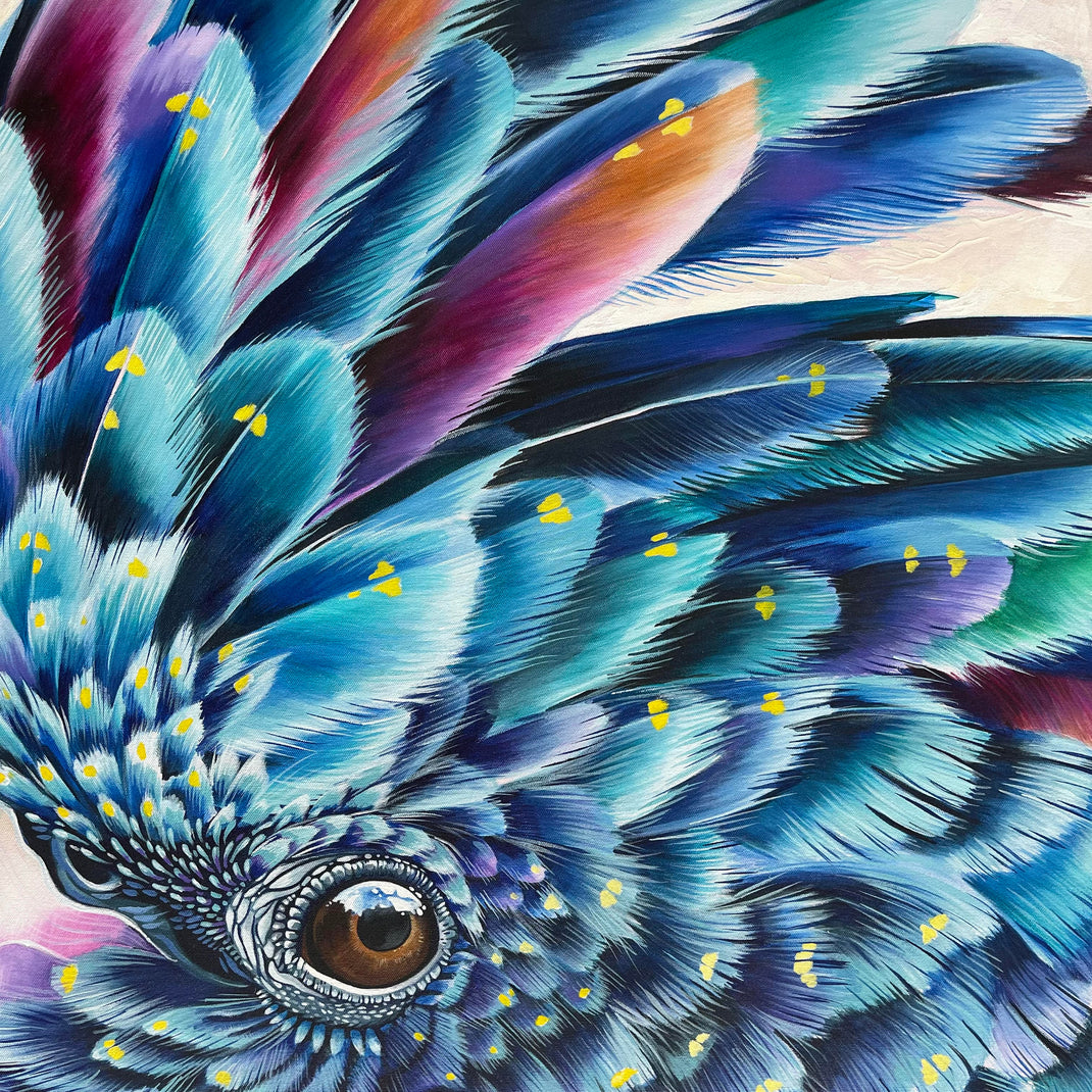 Australian Birds Original Collection - Art By Sarah – Art by Sarah